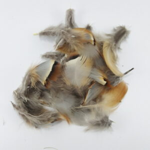 French Partridge - FlyFinz